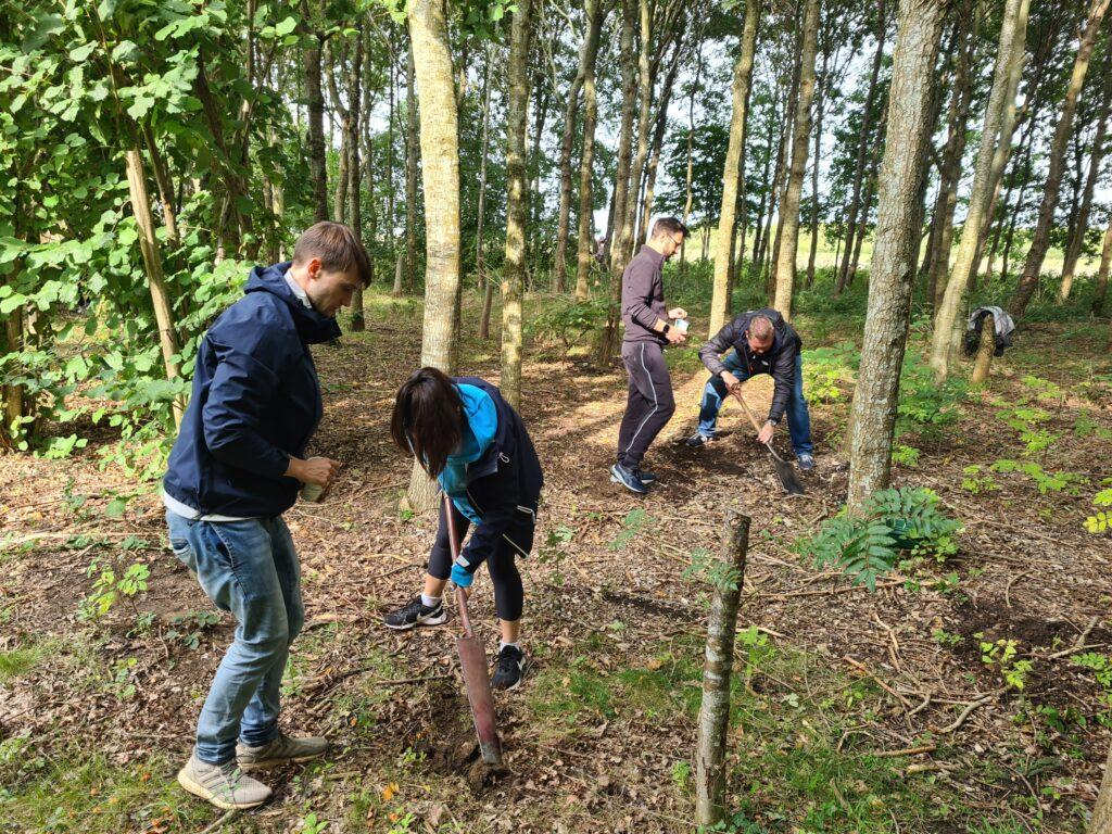 Outer Dowsing Offshore Wind to fund conservation of wildflower meadow ...